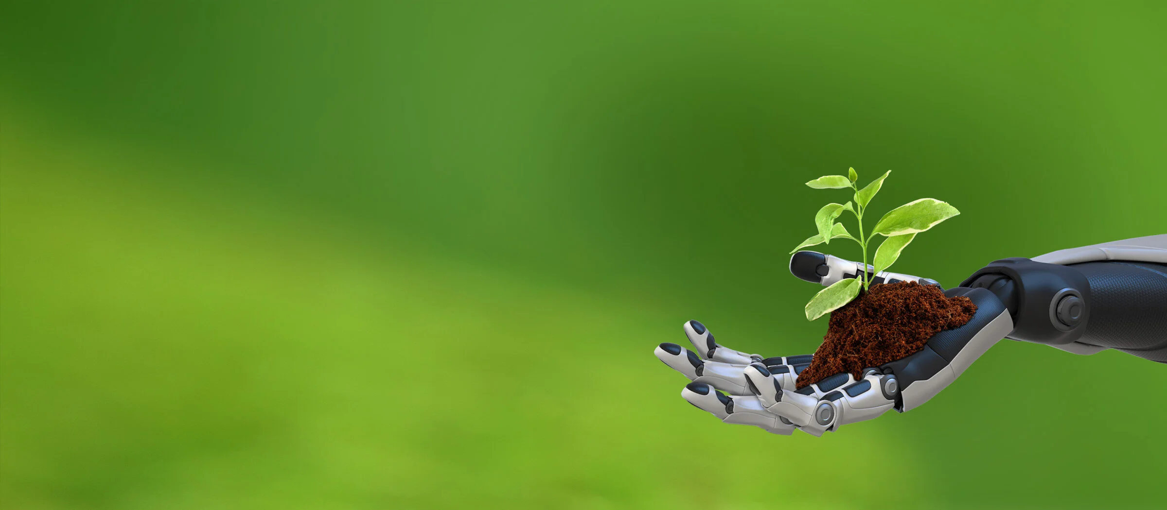 Measure your Company's Carbon Footprint | Get Support Now — Techies Go ...