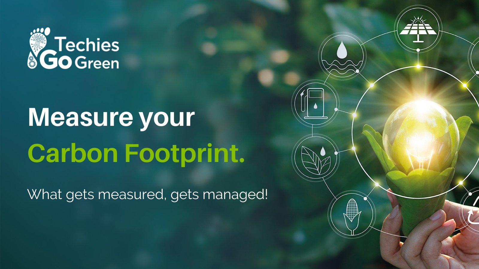 Measure your Business' Carbon Footprint — Techies Go Green