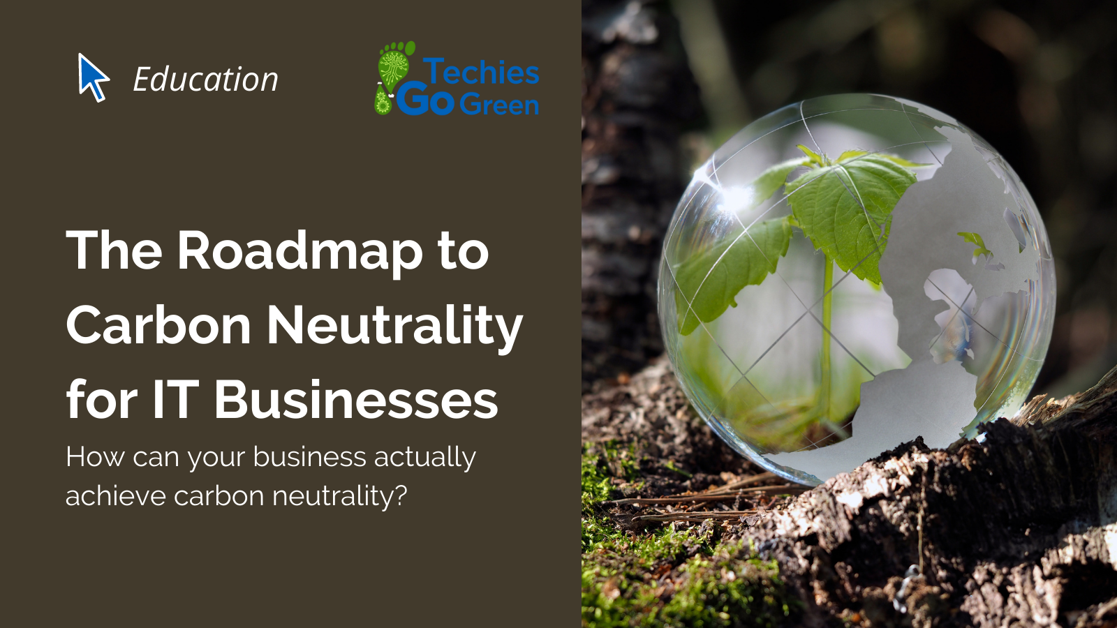 The Roadmap to Carbon Neutrality for IT Businesses. — Techies Go Green