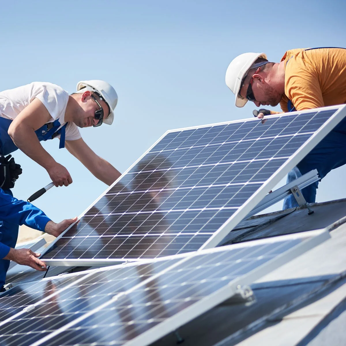 Techies Go Green | Empowering the world of Tech to GO GREEN.