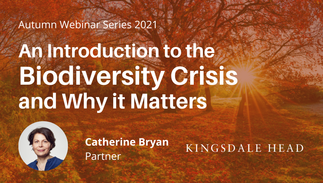 Business Sustainability Webinars | Carbon Neutral | Circular Economy — Techies Go Green