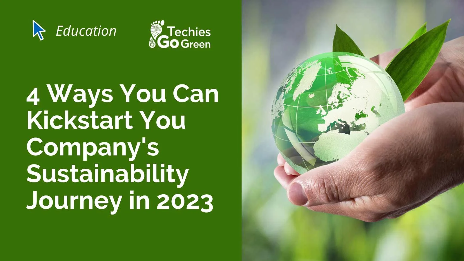 Sustainability for Businesses in 2023 | Getting Started — Techies Go Green