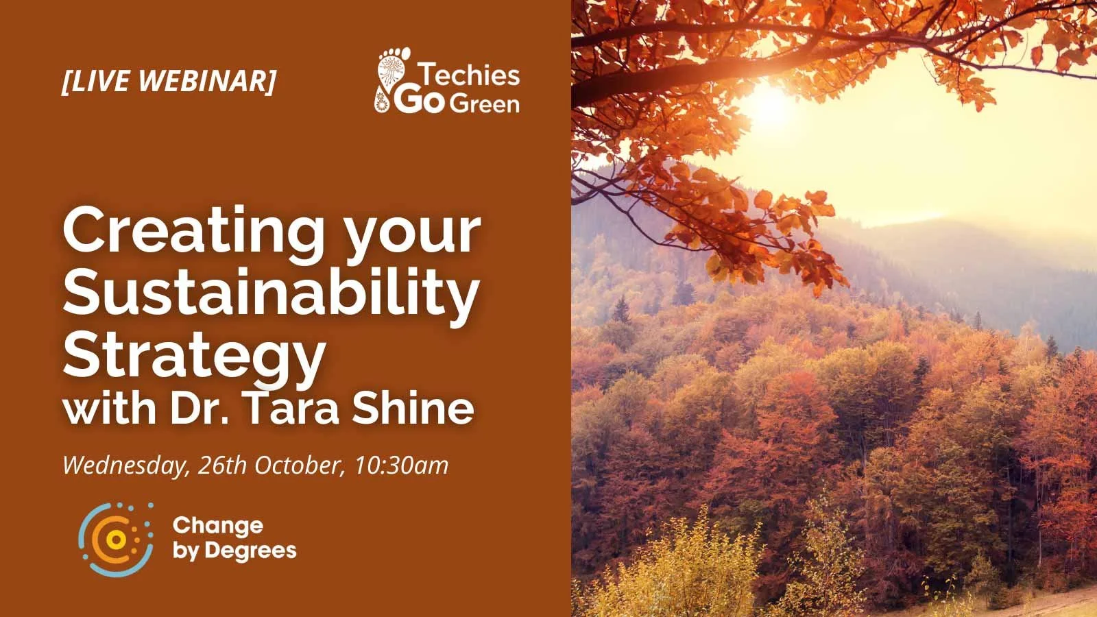 Creating your Sustainability Strategy with Dr. Tara Shine — Techies Go ...