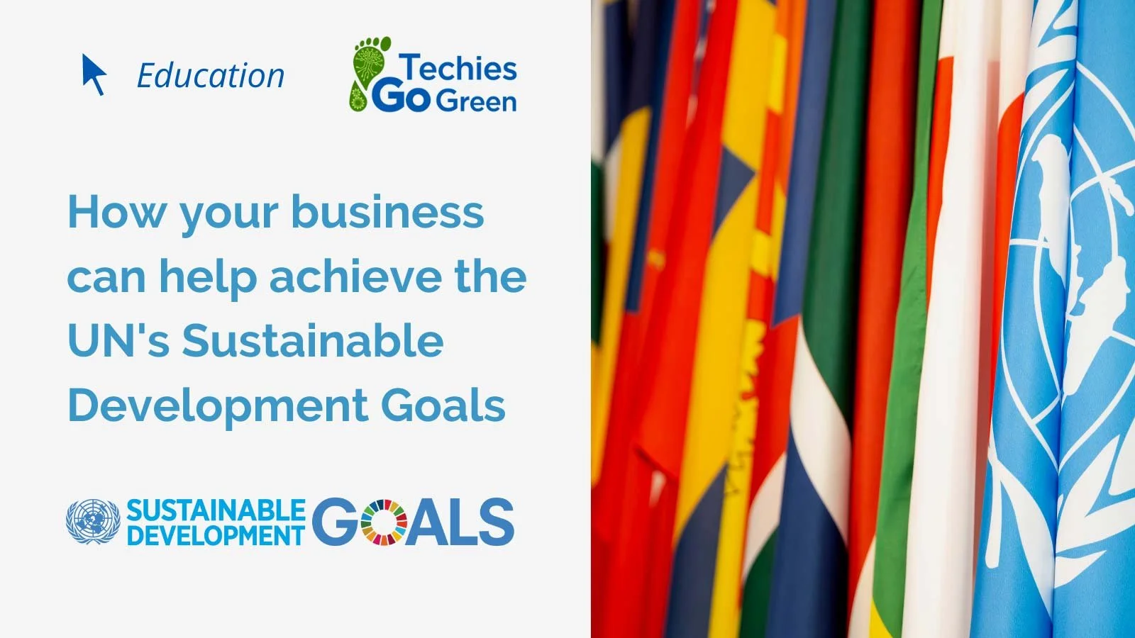 UN's Sustainability Goals | How you business can achieve SDGs — Techies ...