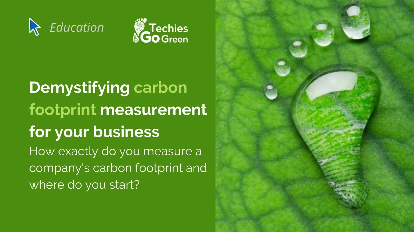 Demystifying carbon footprint measurement for your business. — Techies ...