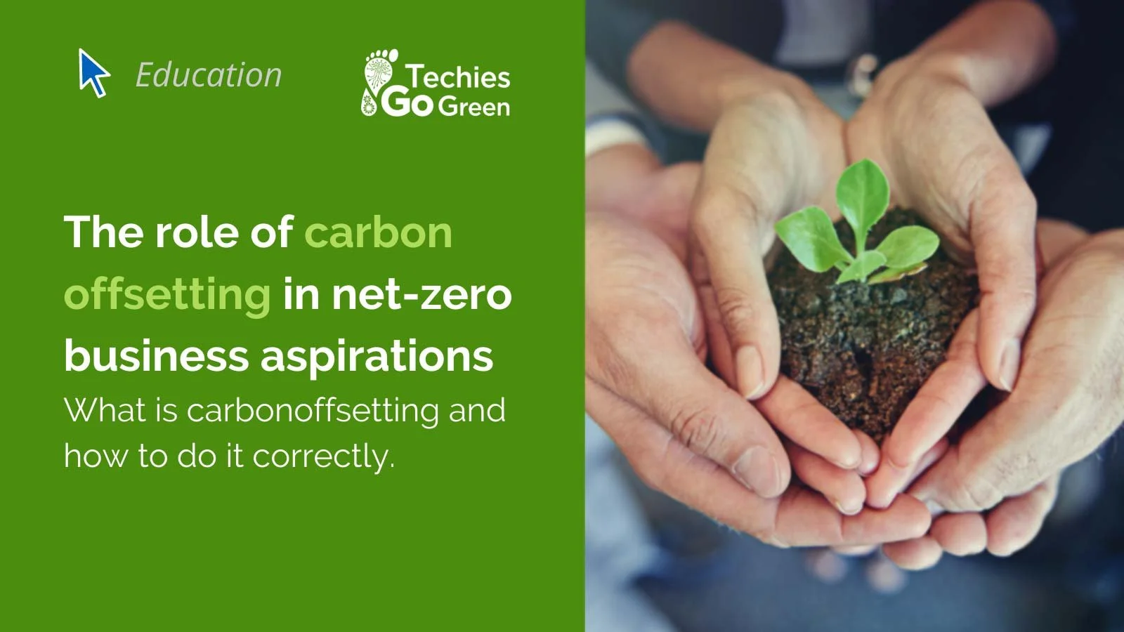 Carbon Offsetting - What is it, and does it really work? — Techies Go Green