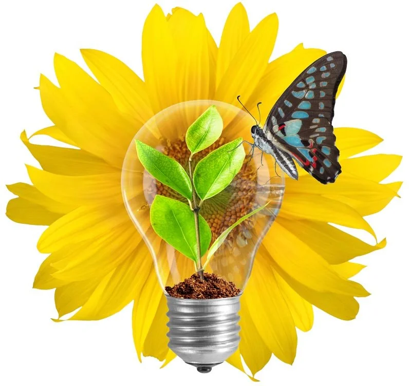 Techies Go Green | Empowering the world of Tech to GO GREEN.