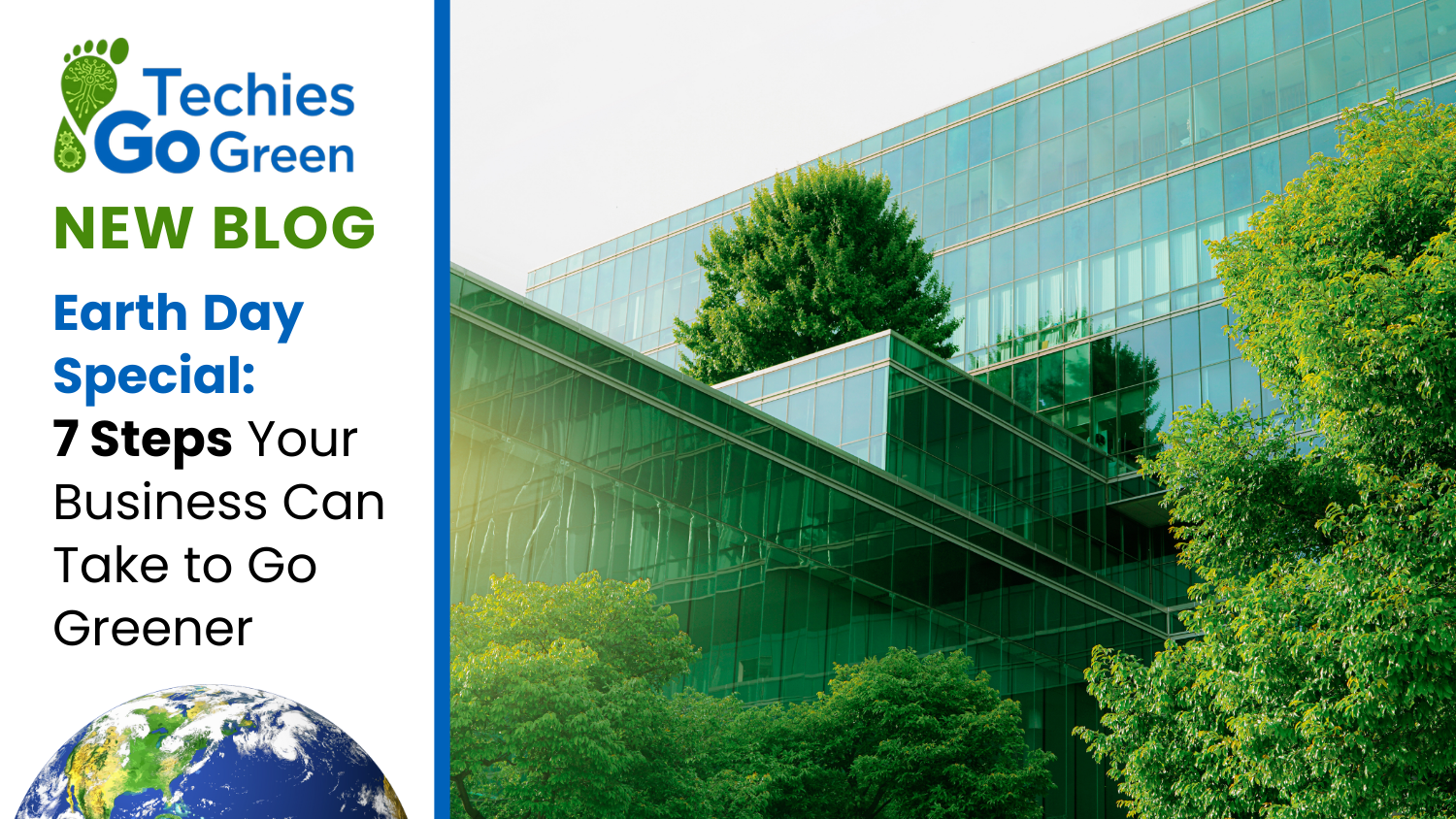 7 Steps Your Business Can Take to Go Greener — Techies Go Green