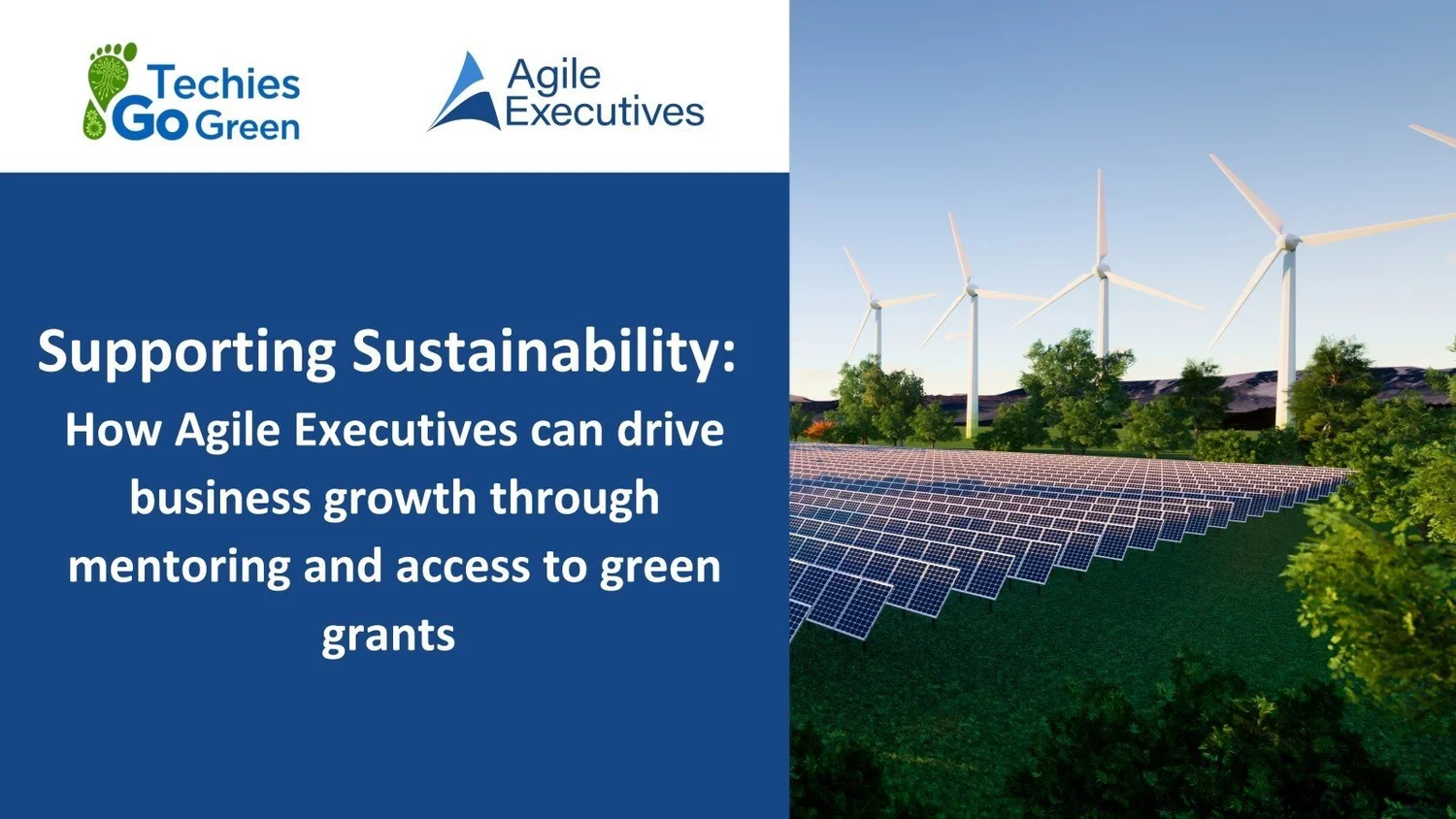 How Agile Executives Can Drive Business Growth Through Mentoring ...