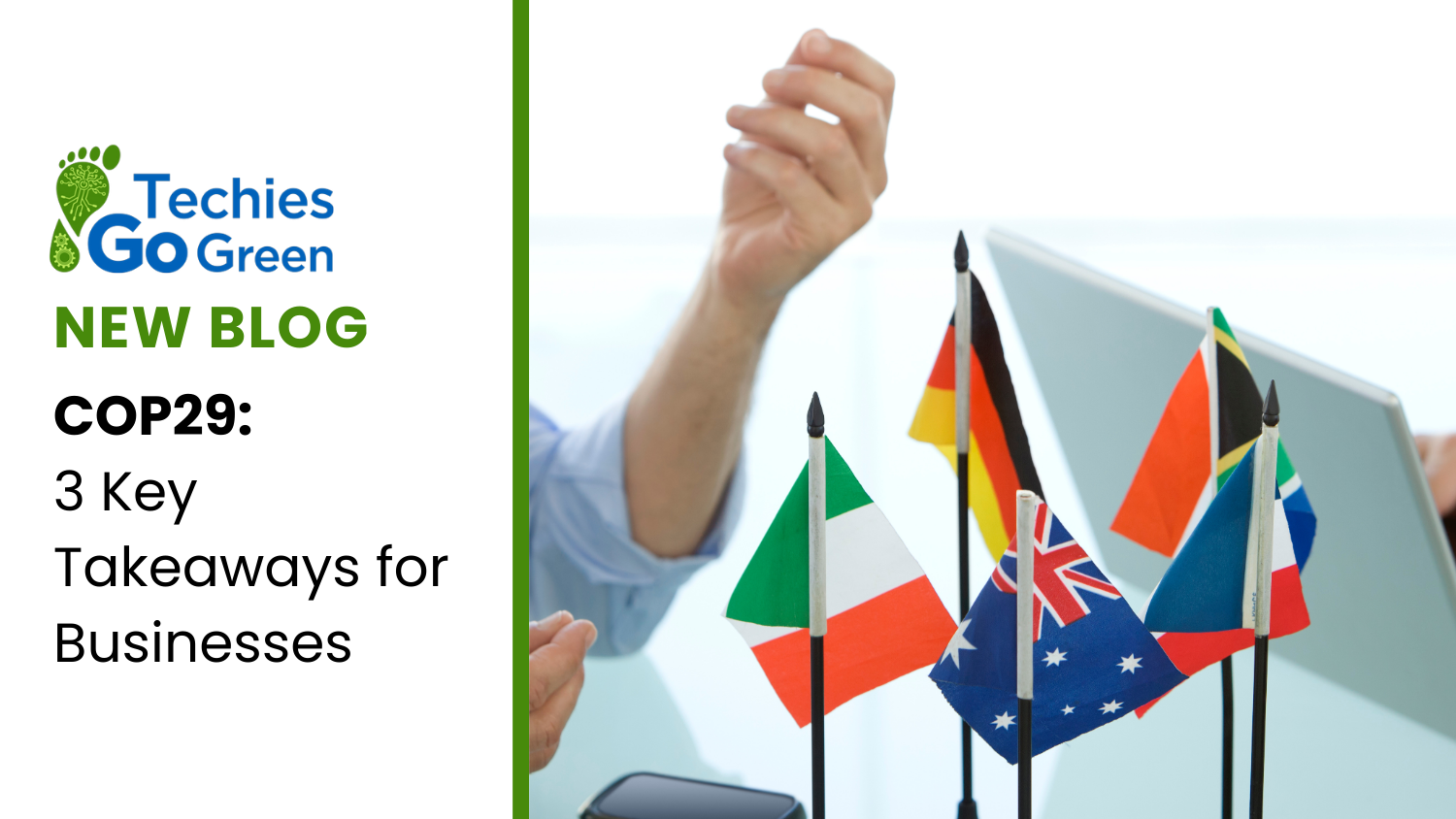 COP 29: 3 Key Takeaways for Businesses — Techies Go Green