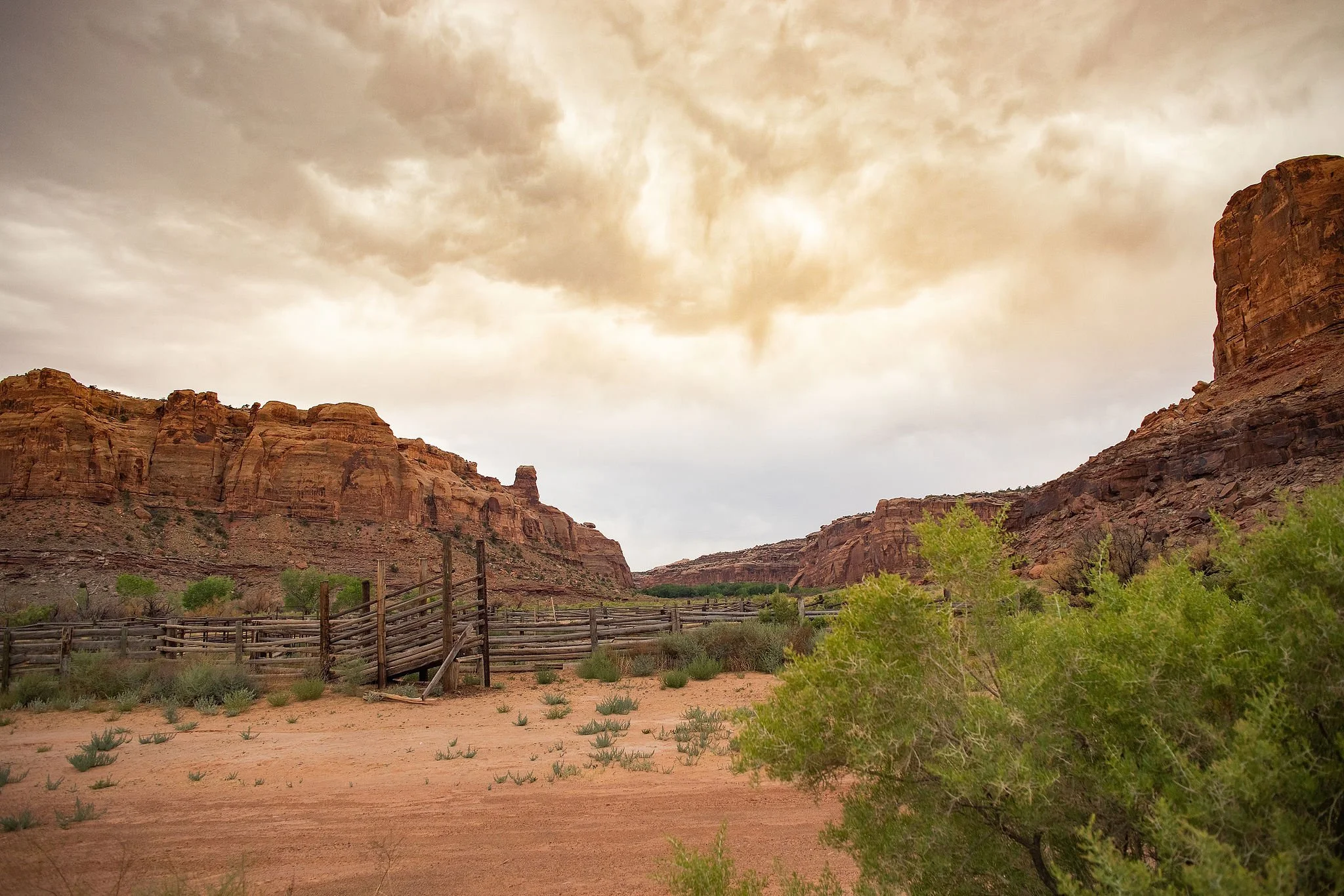 The Red Earth Venue: The Step by Step Story of Making a Utah Wedding ...