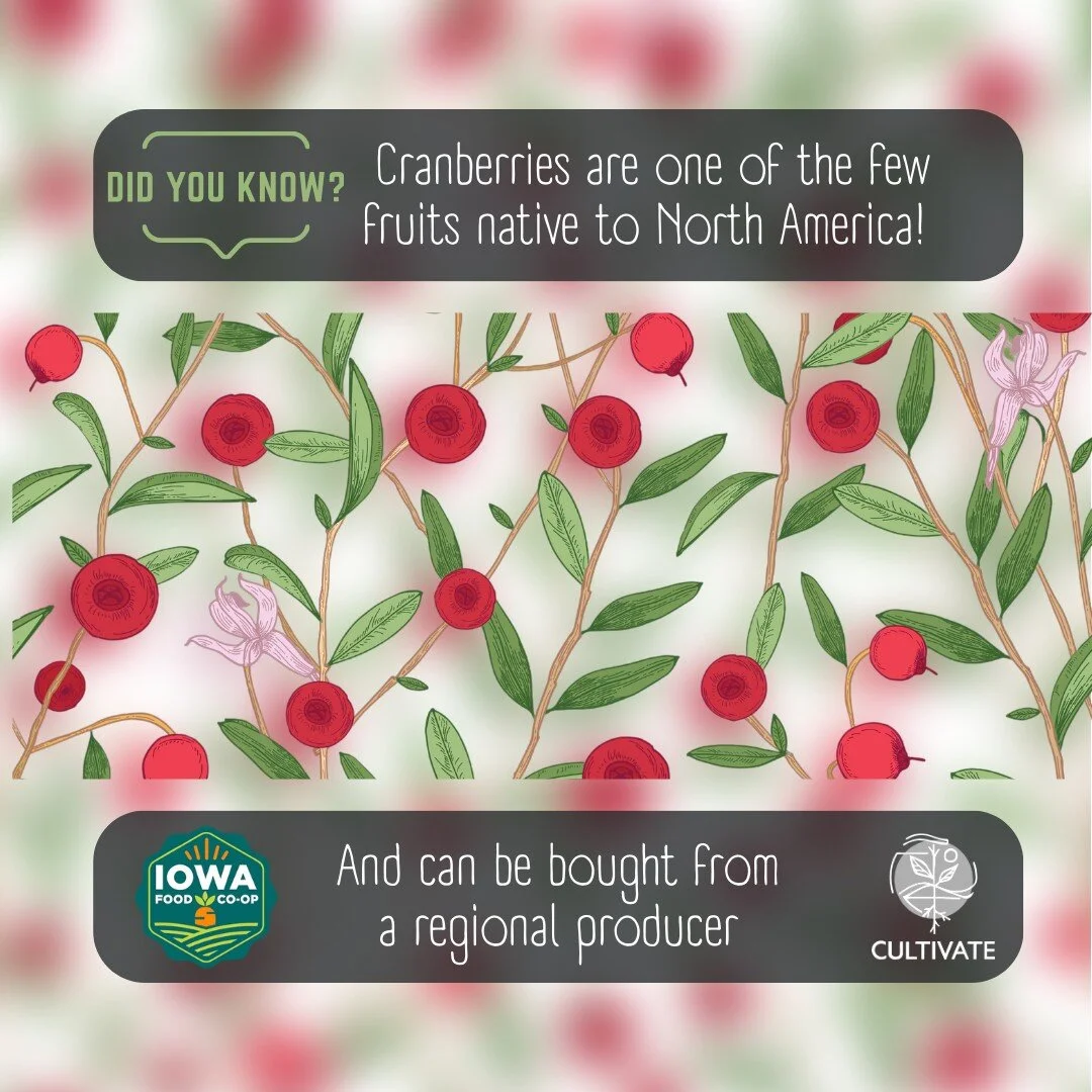 CULTIVATE: Local Food Connections