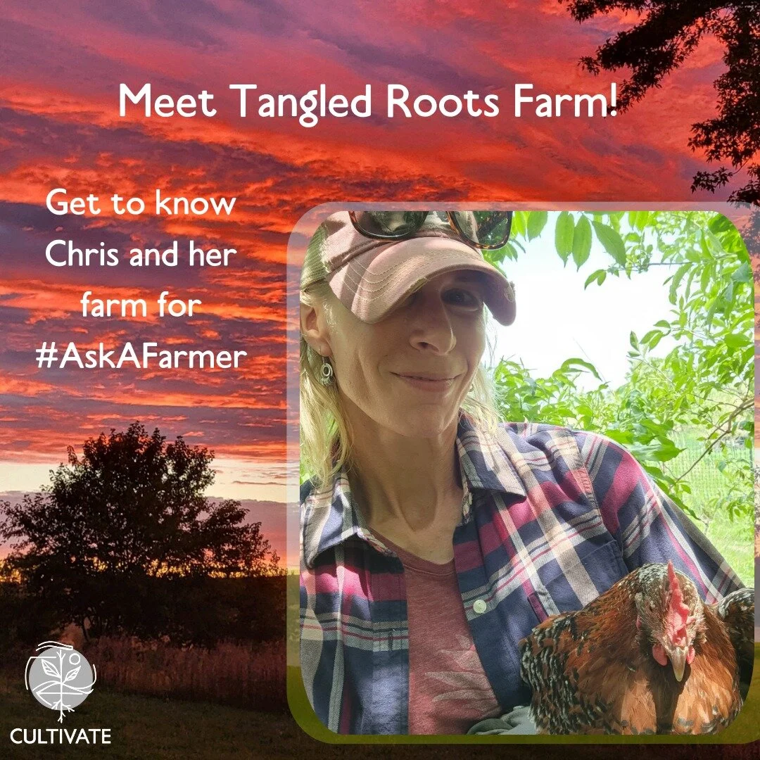 CULTIVATE: Local Food Connections