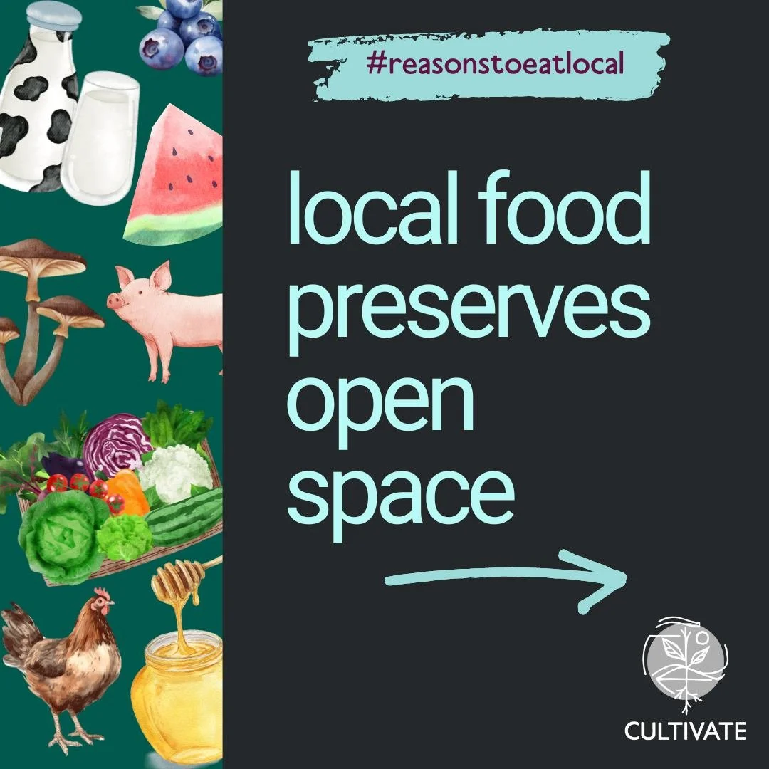 CULTIVATE: Local Food Connections