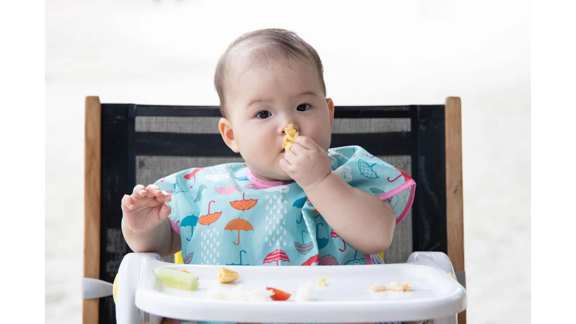 How to start weaning to solid foods? — Feed Eat Speak - Stacey Zimmels