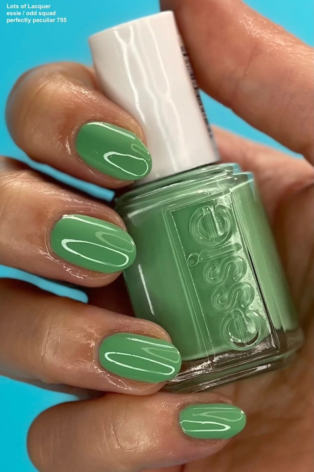 essie 2024 odd squad collection