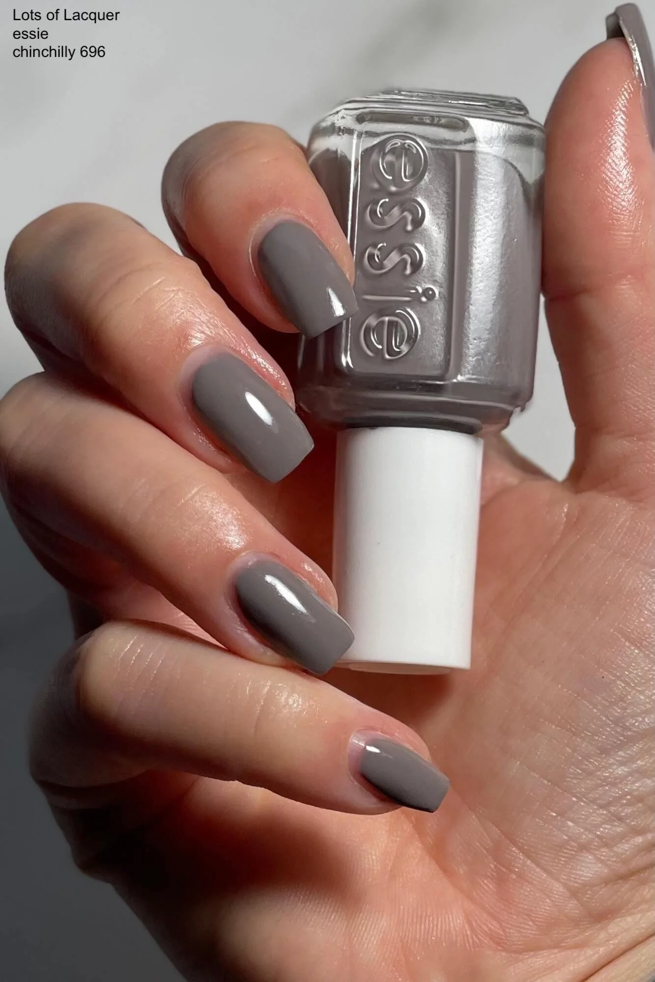 Essie Chinchilly Vs Master Plan Google Search Essie