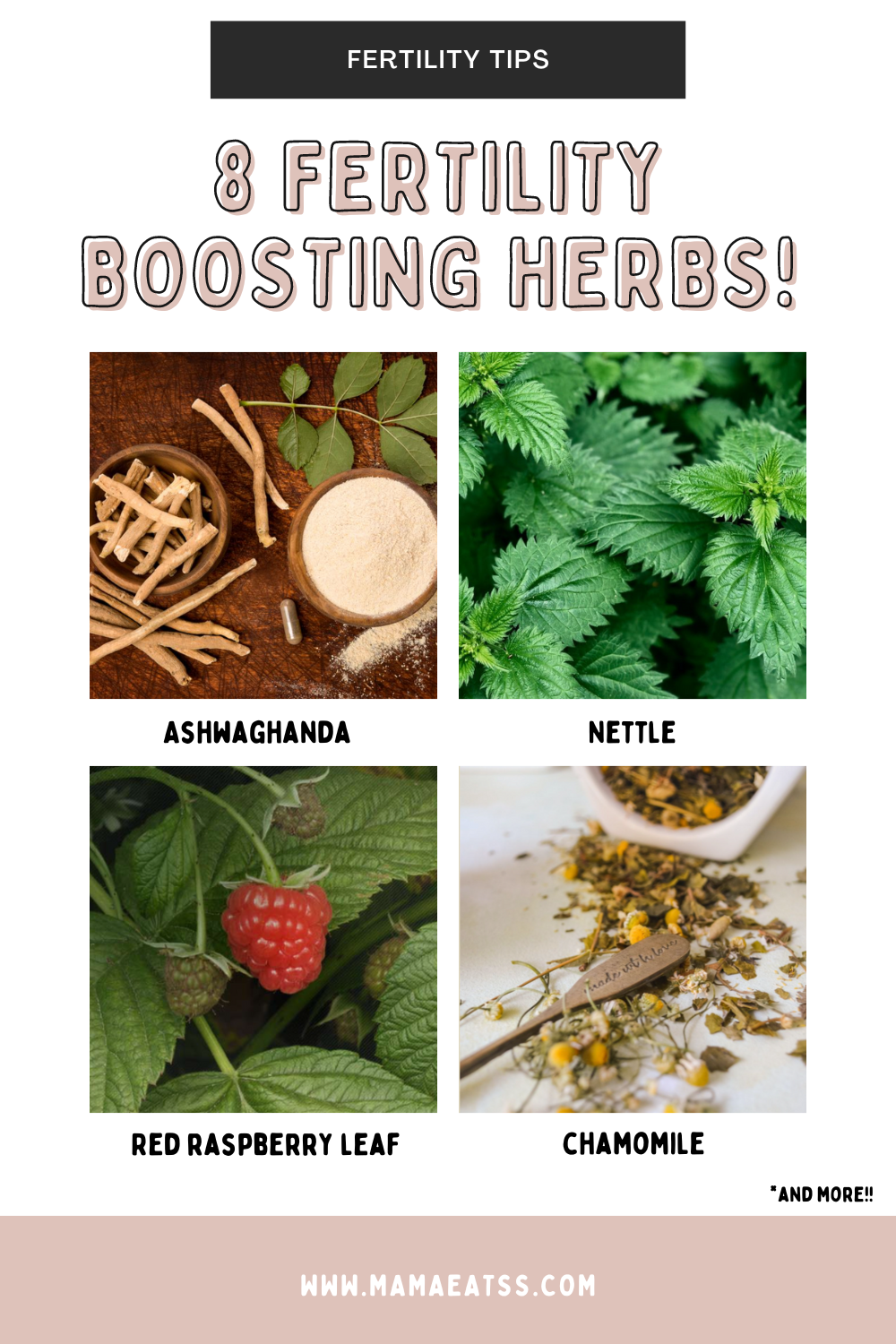 8 Fertility Boosting Herbs I Love! — MamaEatss