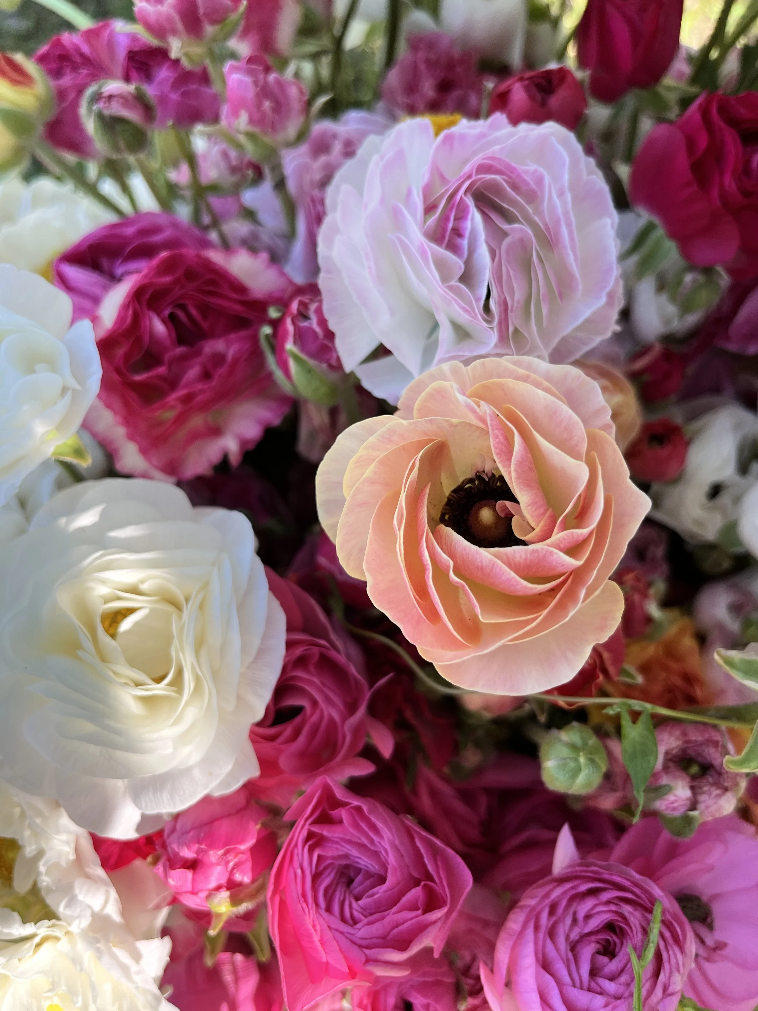 True Blue Flower Co.