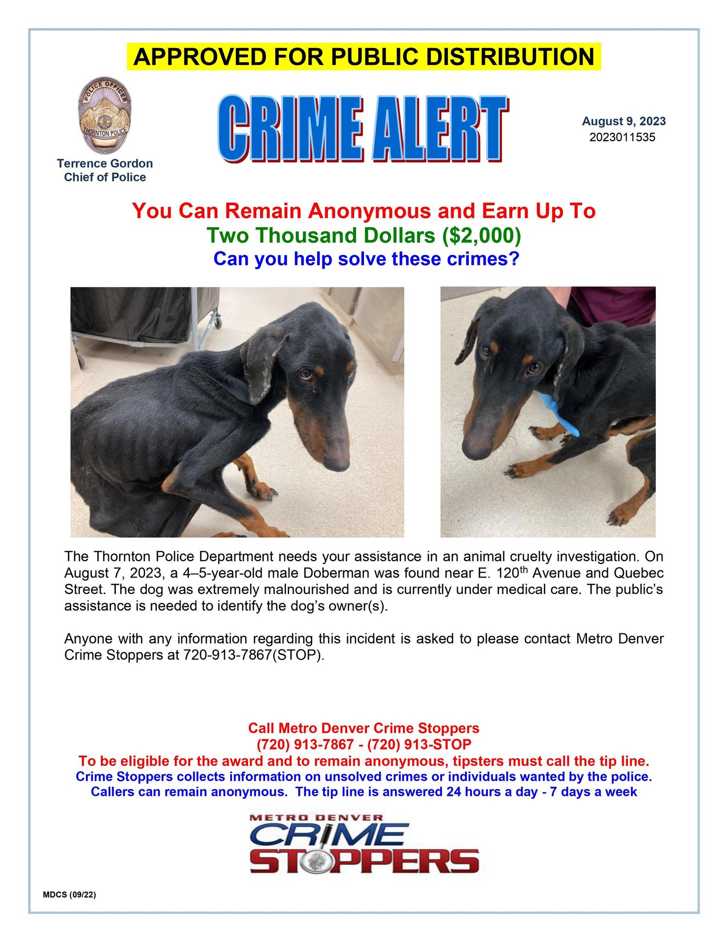 Crime Info — Thornton Police Department