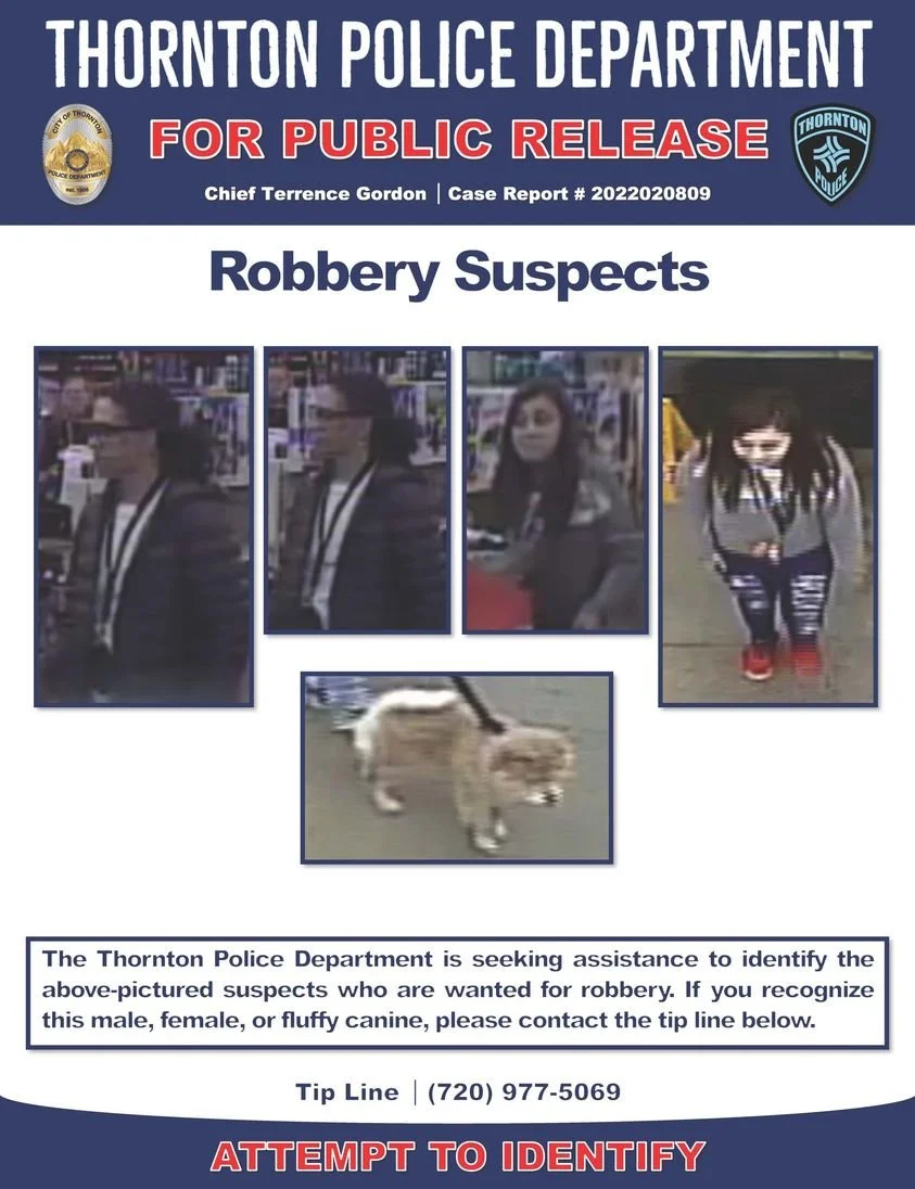 Crime Info — Thornton Police Department