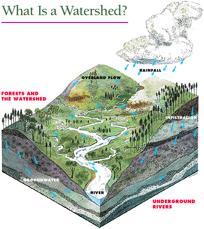 About 3 — Lebanon County Conservation District