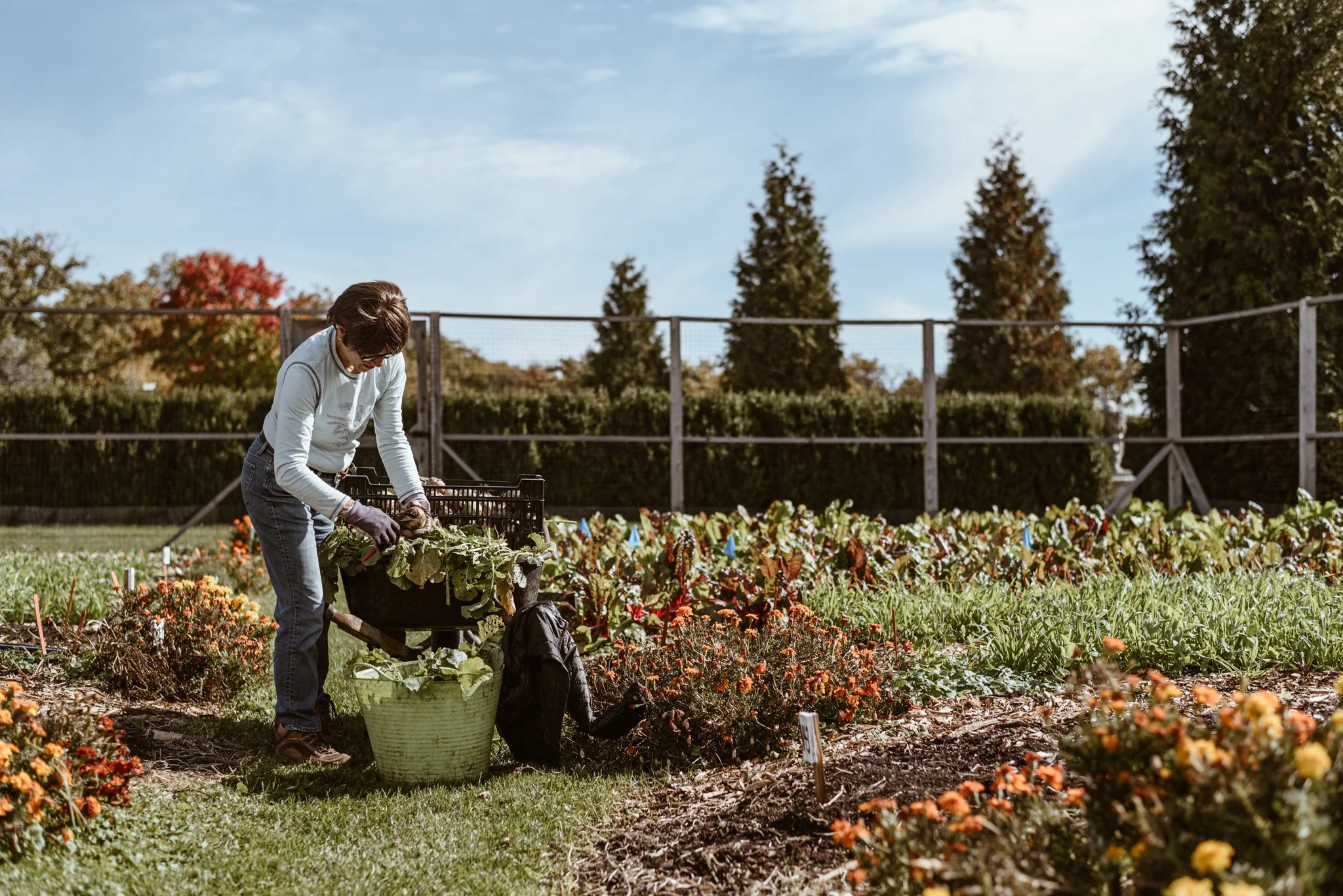 Elawa Farm Garden — Elawa Farm Foundation