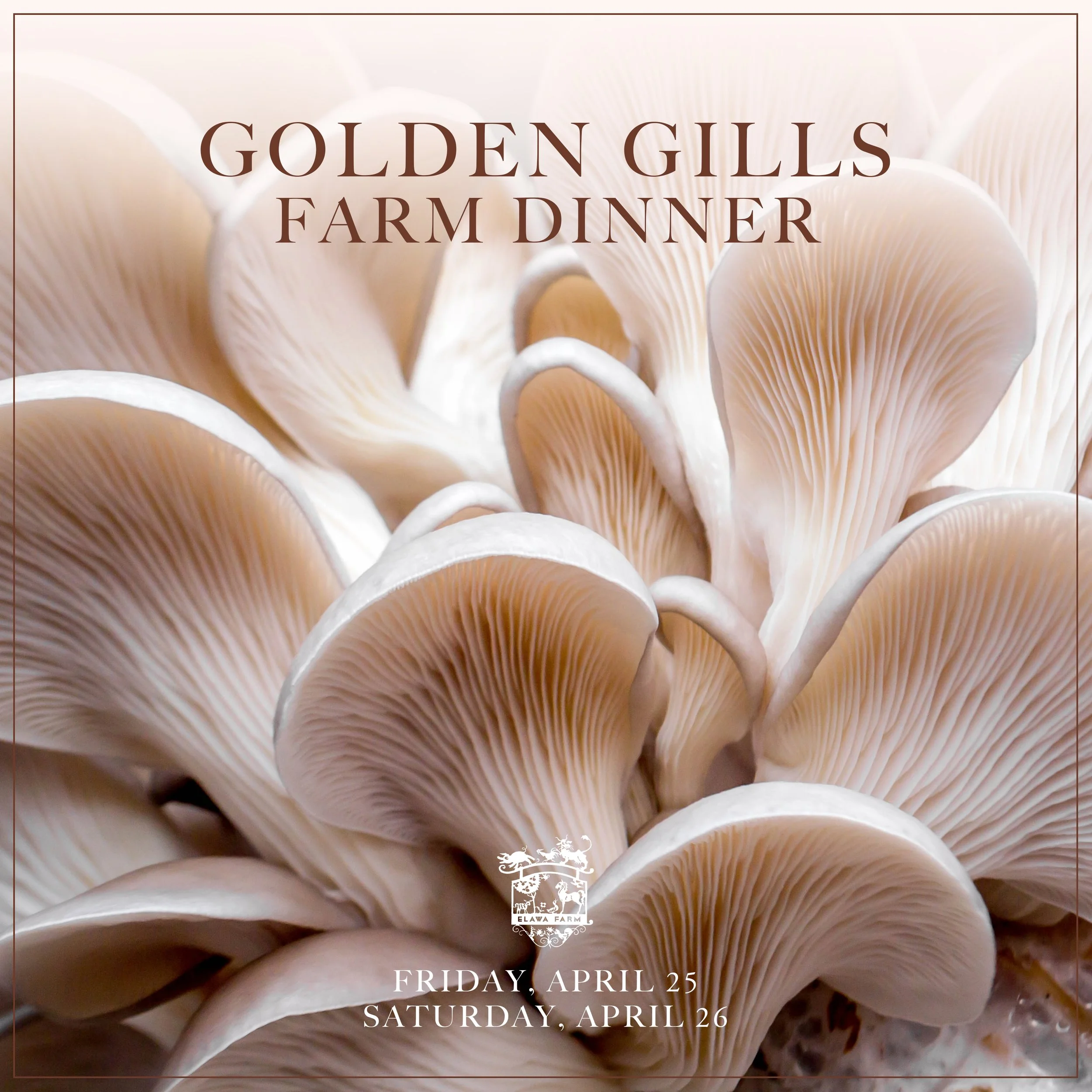 Elawa Farm Foundation