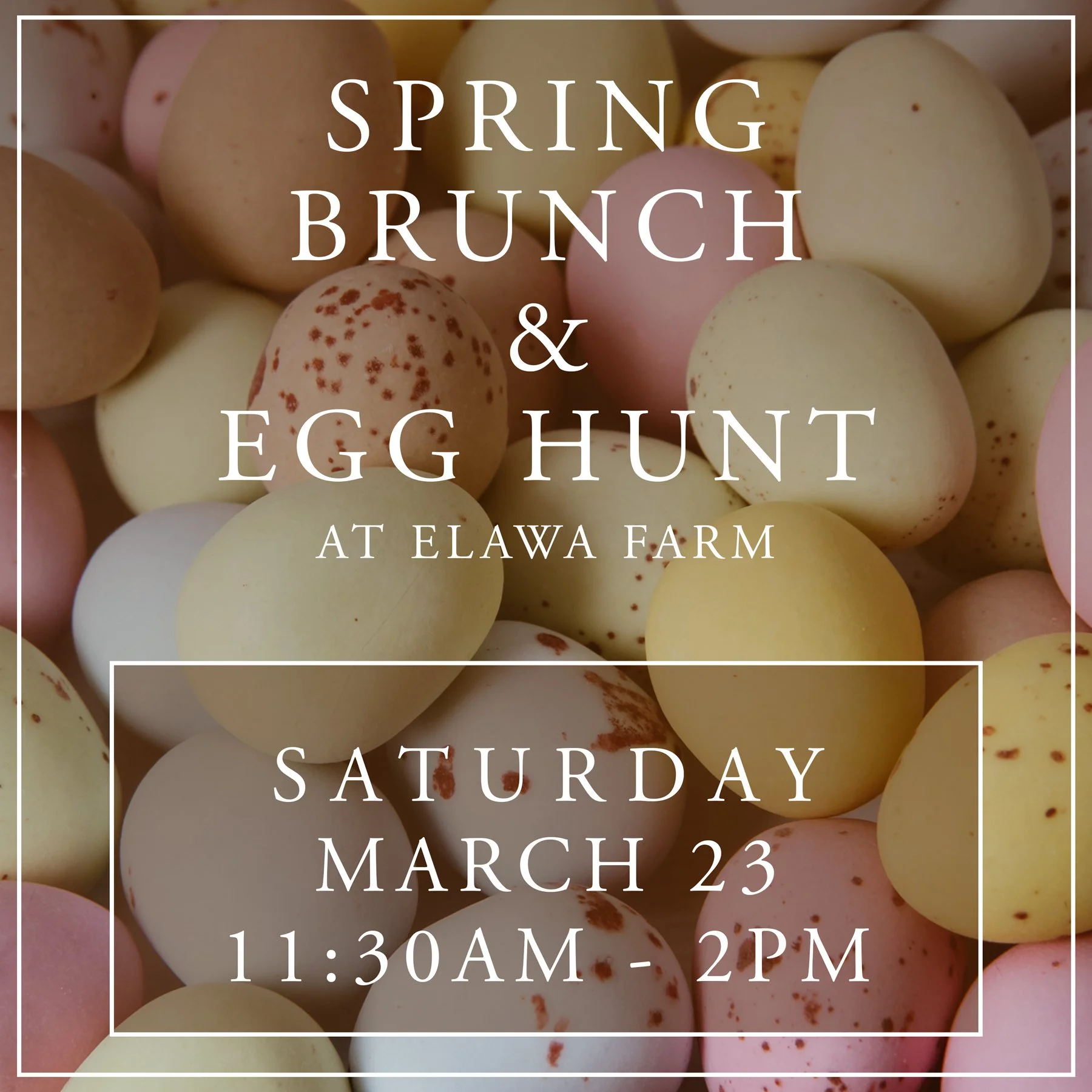 Elawa Farm Foundation