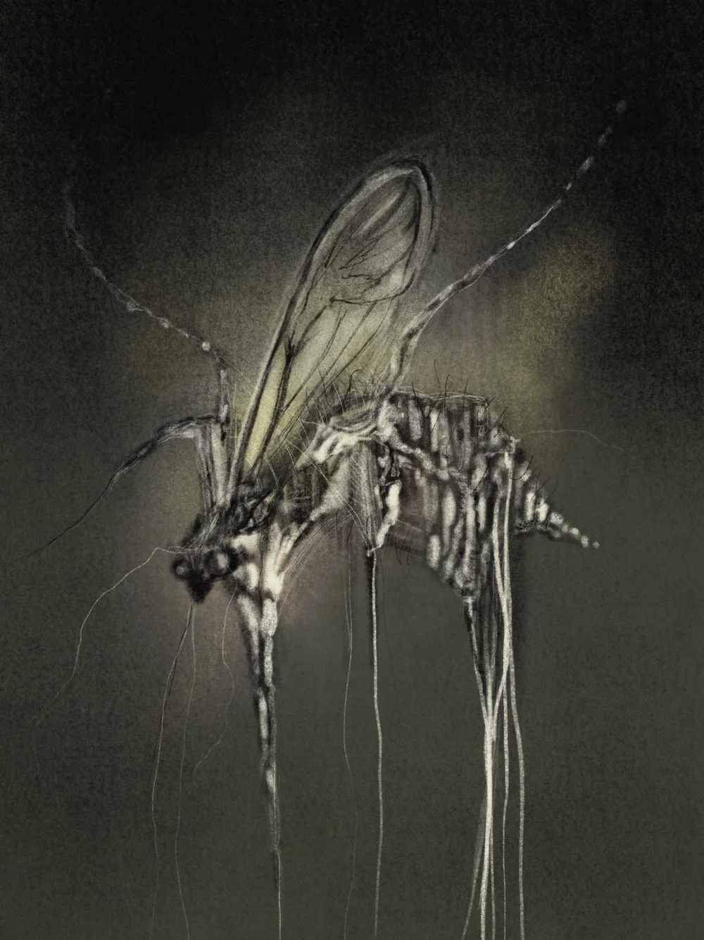 Artwork — Liz Atkin