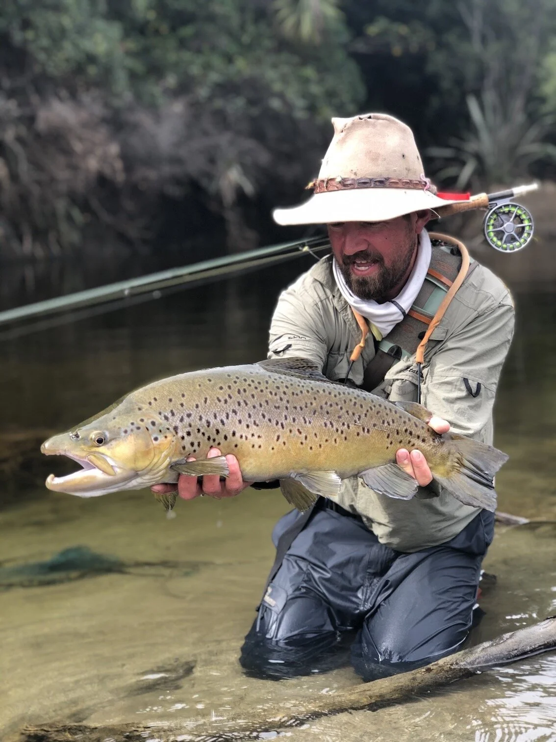 About us — Fishjet NZ