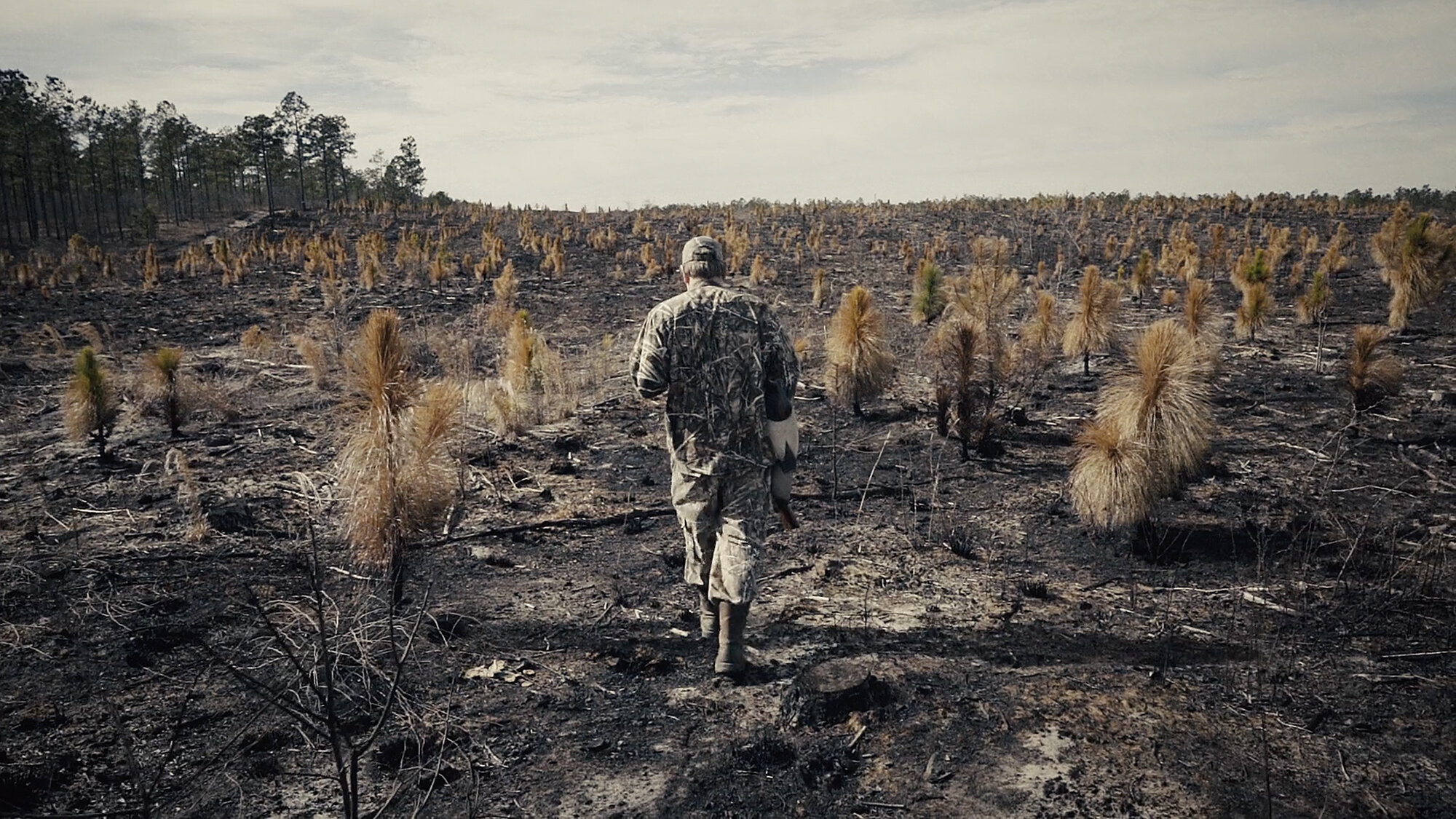 Motion — Gary Land