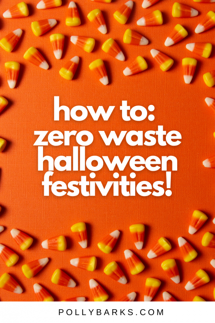 30+ ideas for an epic eco-friendly Halloween — Polly Barks