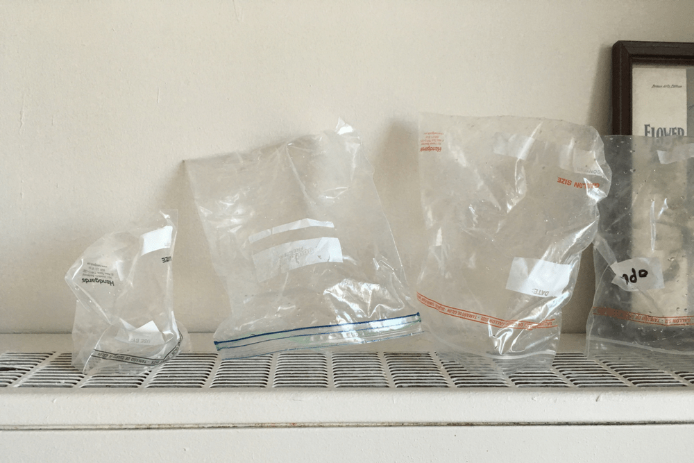 6 simple steps for an at-home trash audit — Polly Barks