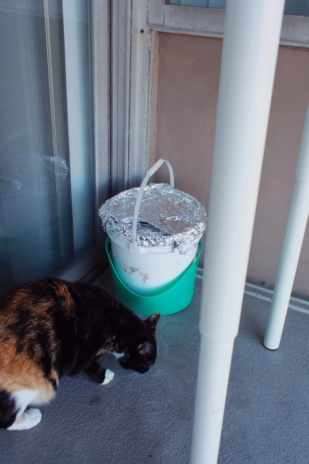 6 simple steps for an at-home trash audit — Polly Barks