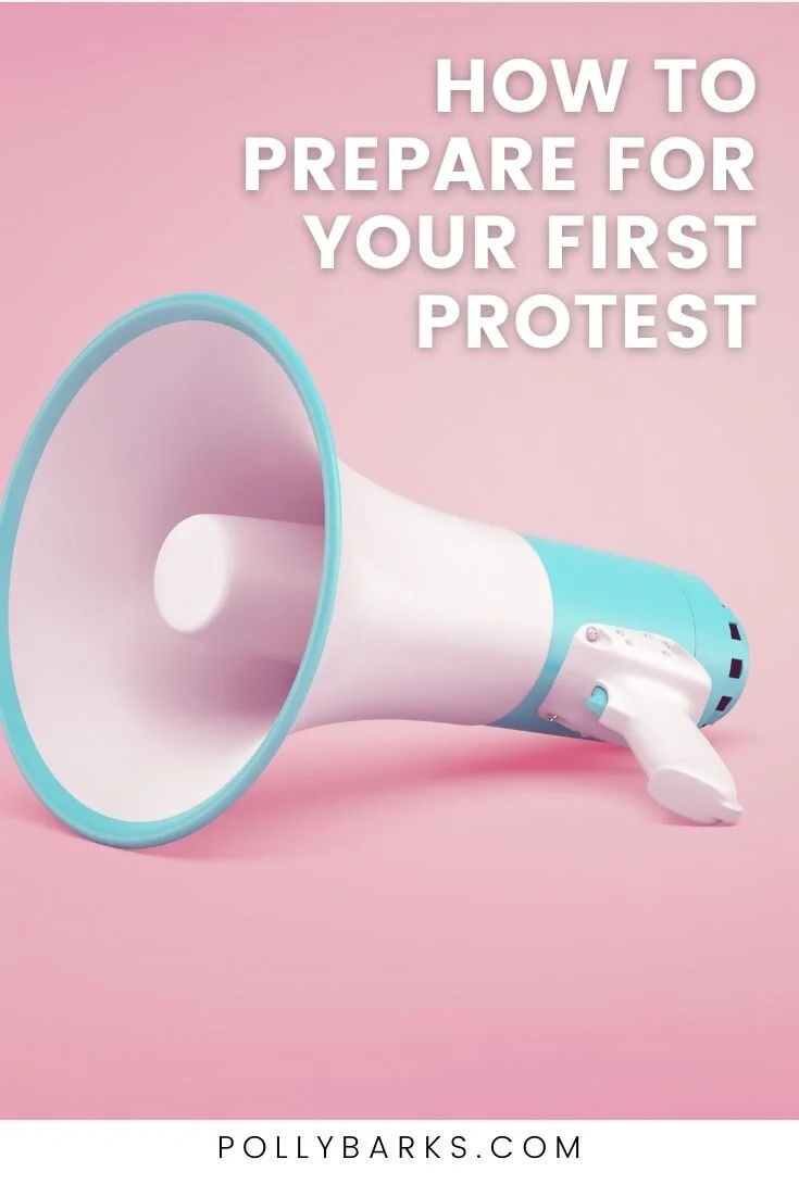 What to do before your first protest - tips & tricks — Polly Barks