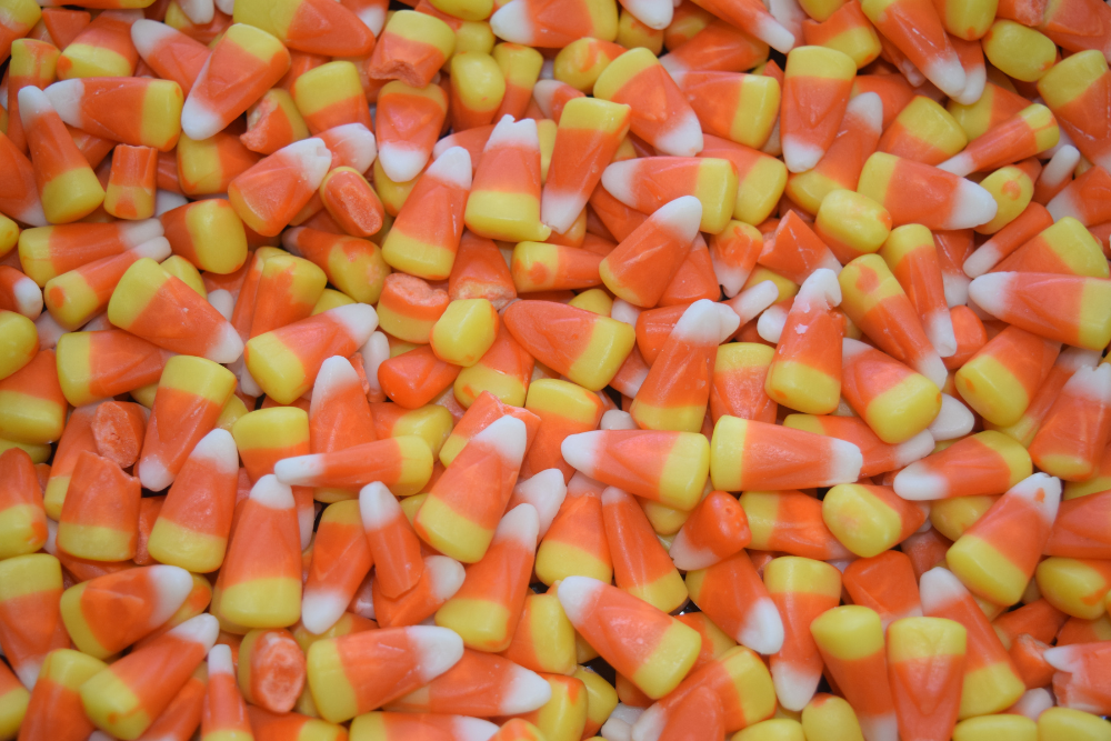 30+ ideas for an epic eco-friendly Halloween — Polly Barks
