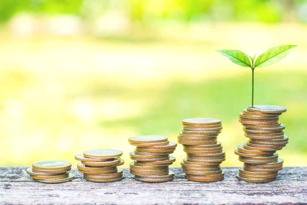 Green investing: grow your money, fossil-free — Polly Barks