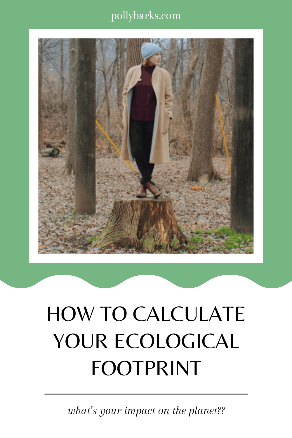 How to calculate your ecological footprint — Polly Barks
