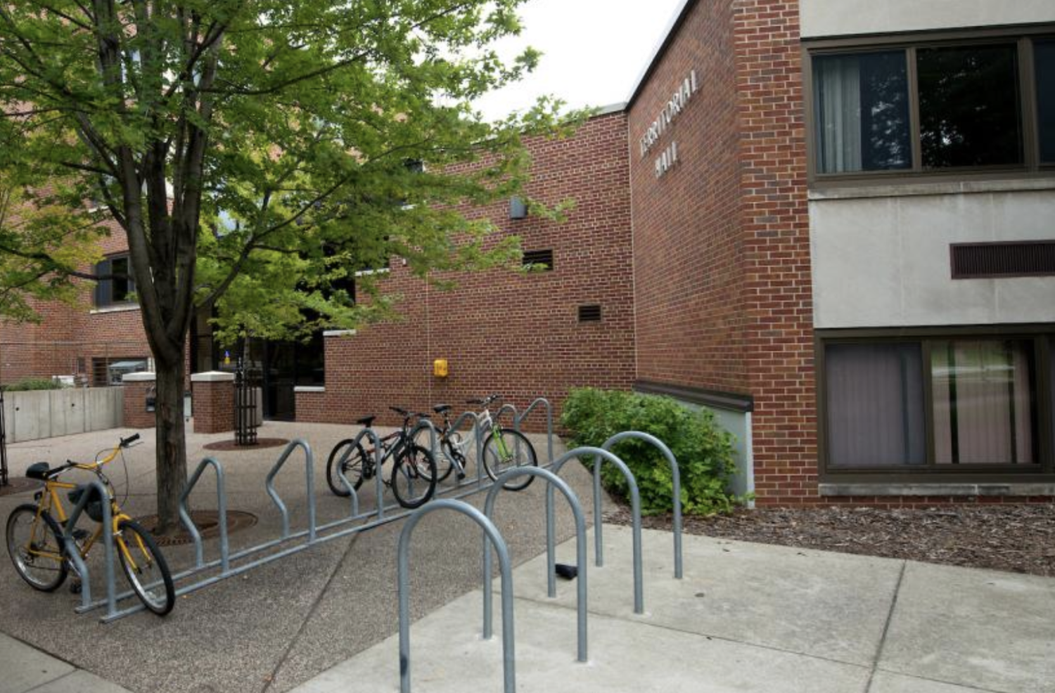 Rating UMN Freshman Dorms: A Tiered Guide — GOLDEN MAGAZINE