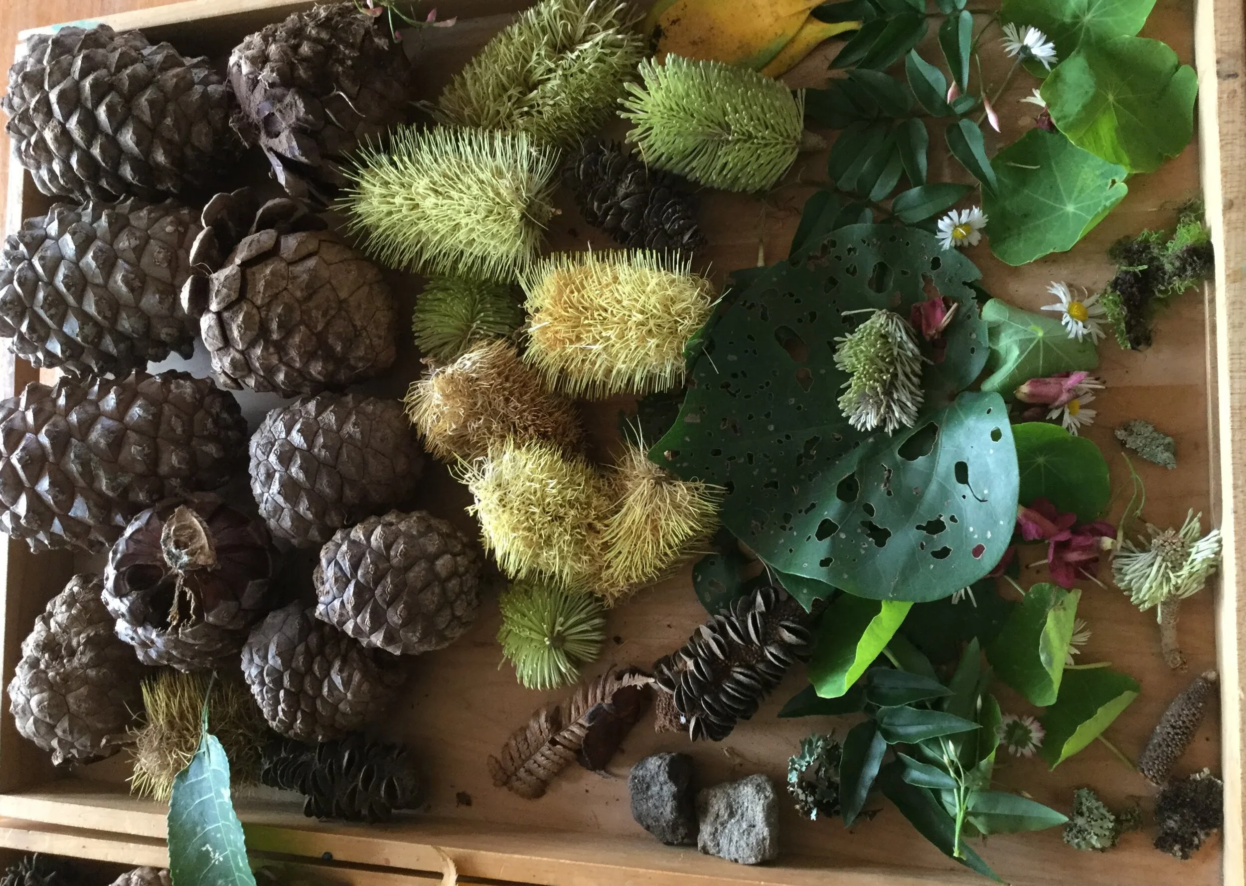 About REANZ — REANZ Trust