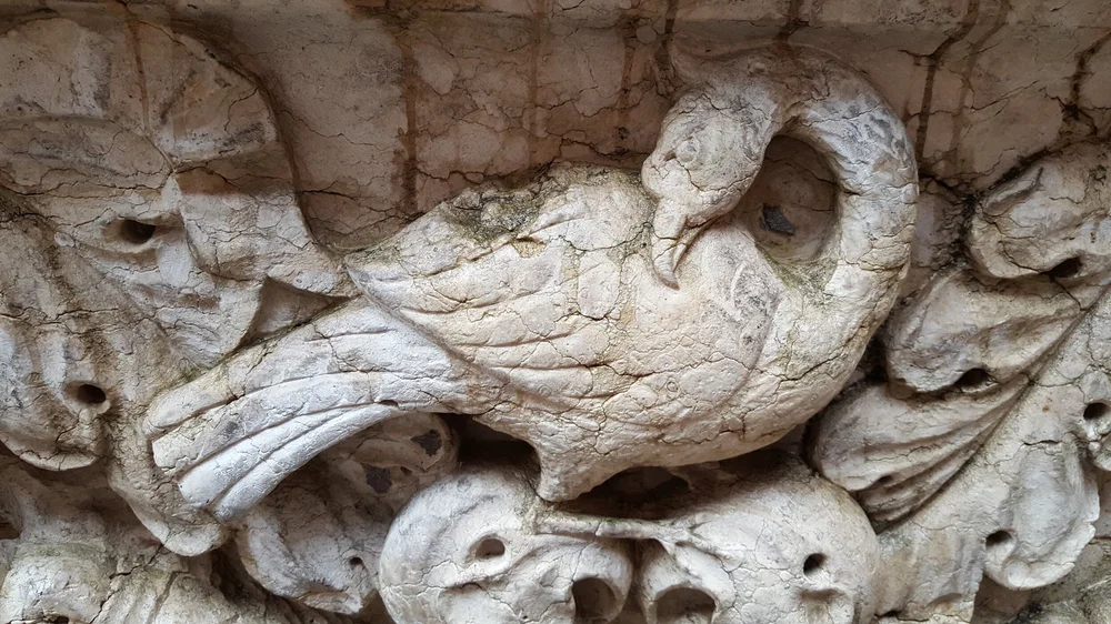 RE e-learning — REANZ Trust