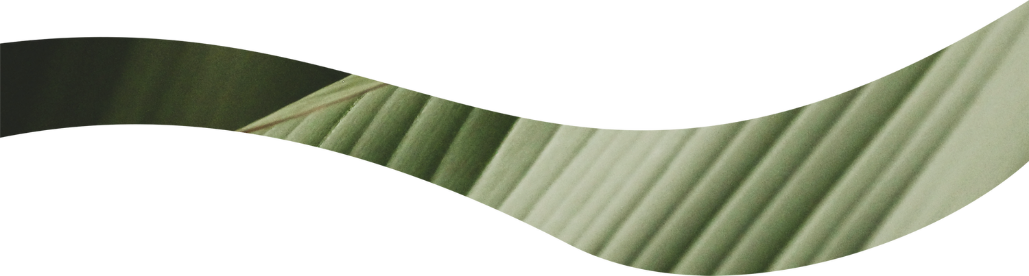 Premier Promenade — Premier Qualitas Indonesia