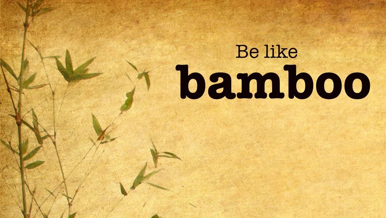 Be Like the Bamboo: 7 Lessons from the Japanese Forest — Presentation Zen