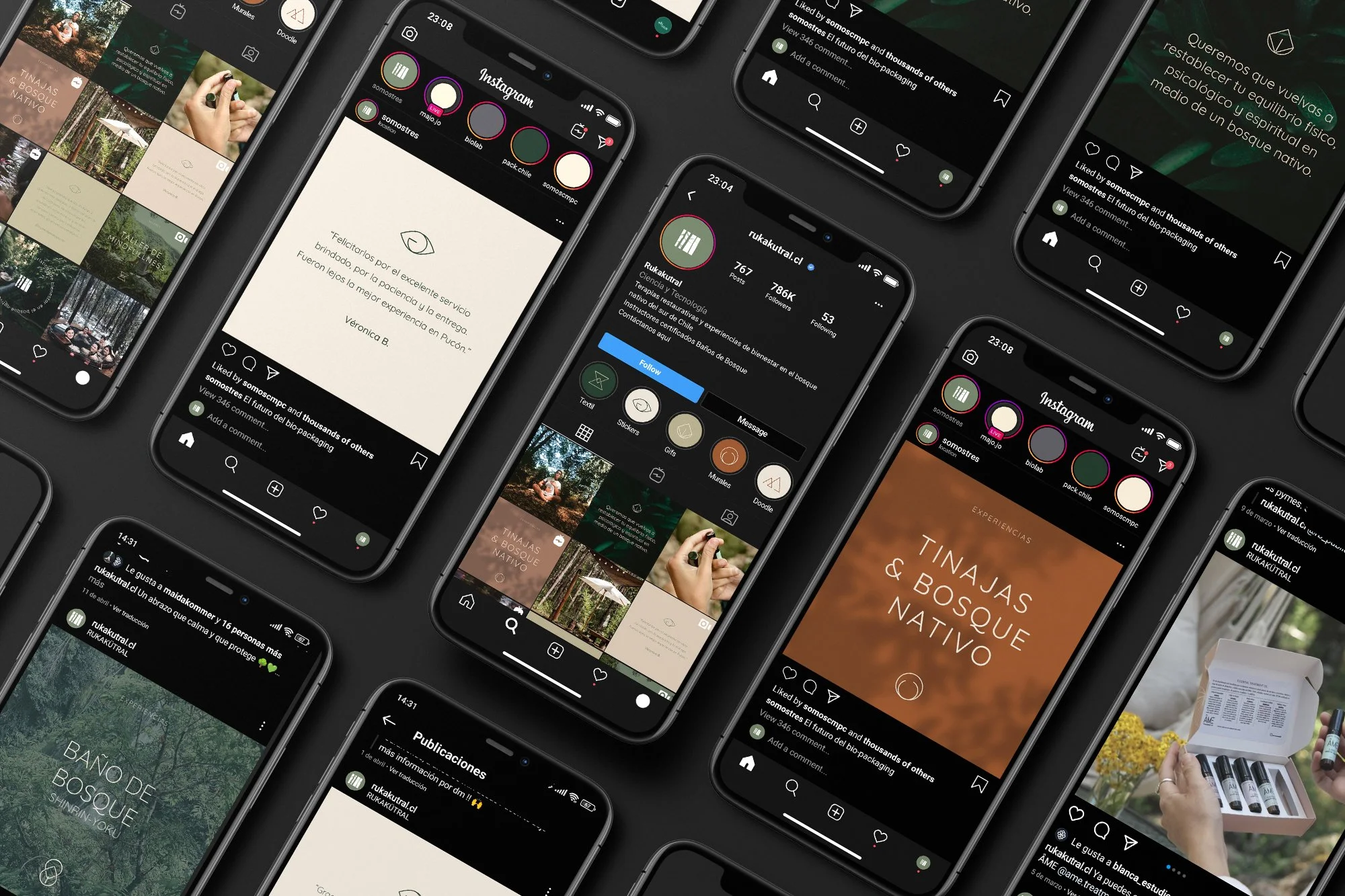 Diseño de Soportes y Experiencias Digitales — Chile Diseño