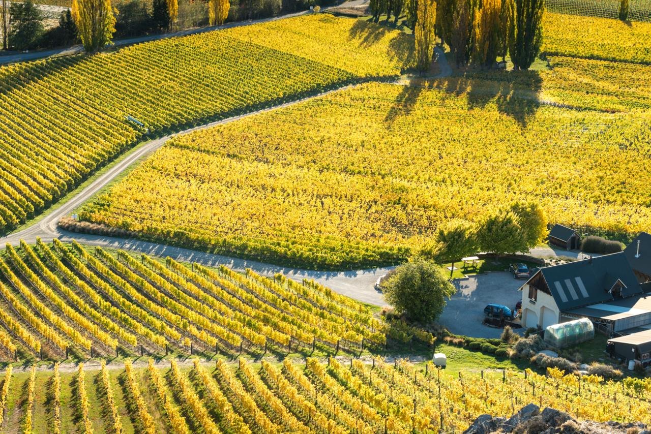 The 2025 Golden Vines® Sustainability Award — Liquid Icons