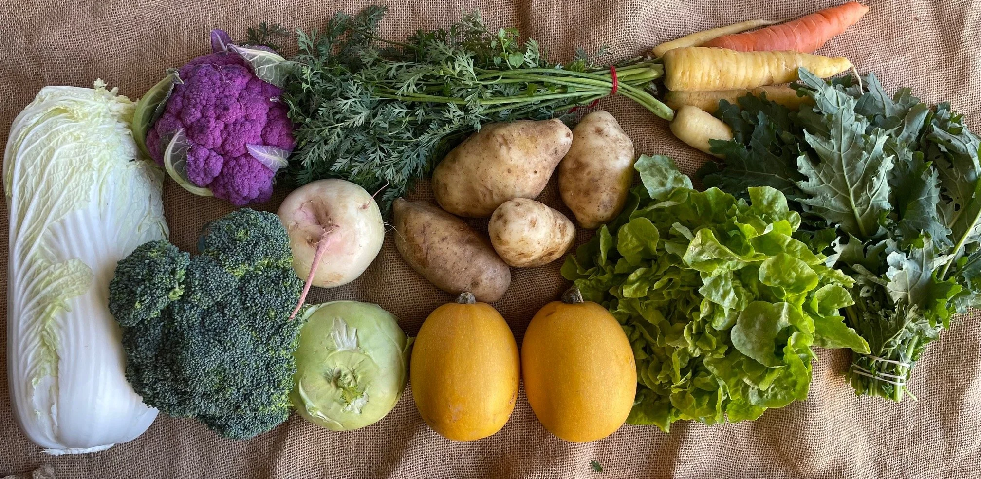 Crown Heights Farmshare Program