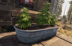 Frontier Decor Pack — Rust Console Edition