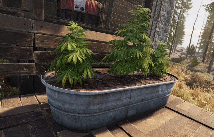 Frontier Decor Pack — Rust Console Edition