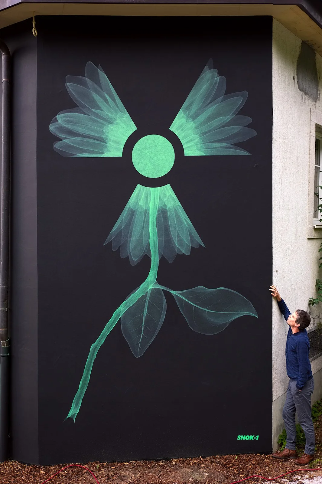 Shok-1 — Seedhead Arts